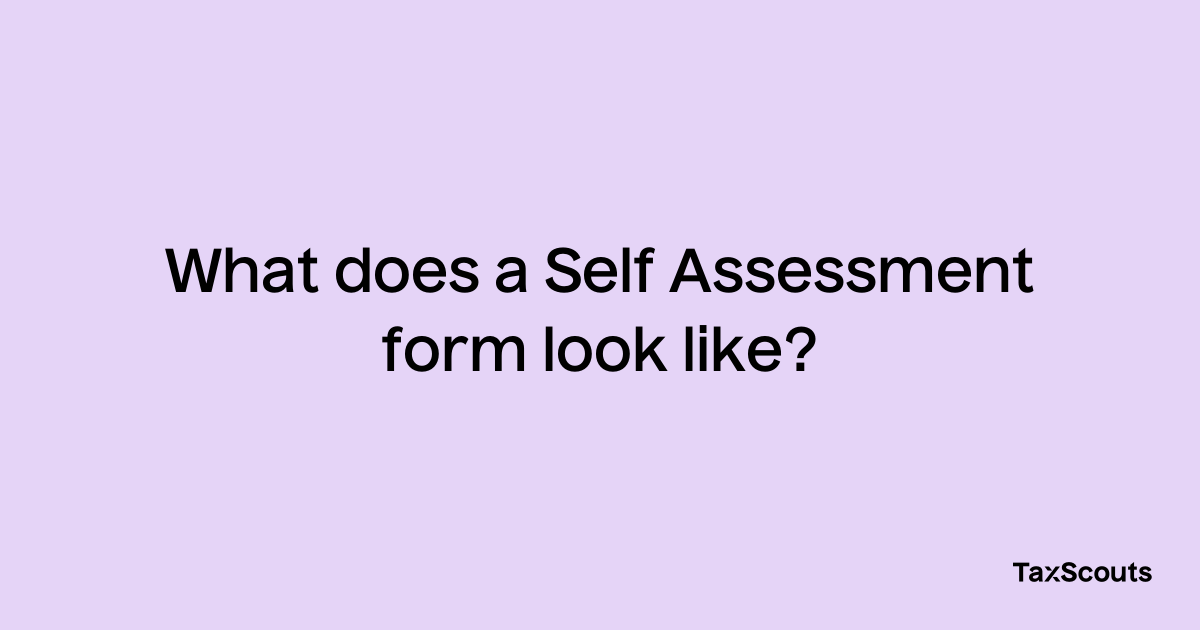 what-does-a-self-assessment-form-look-like-taxscouts